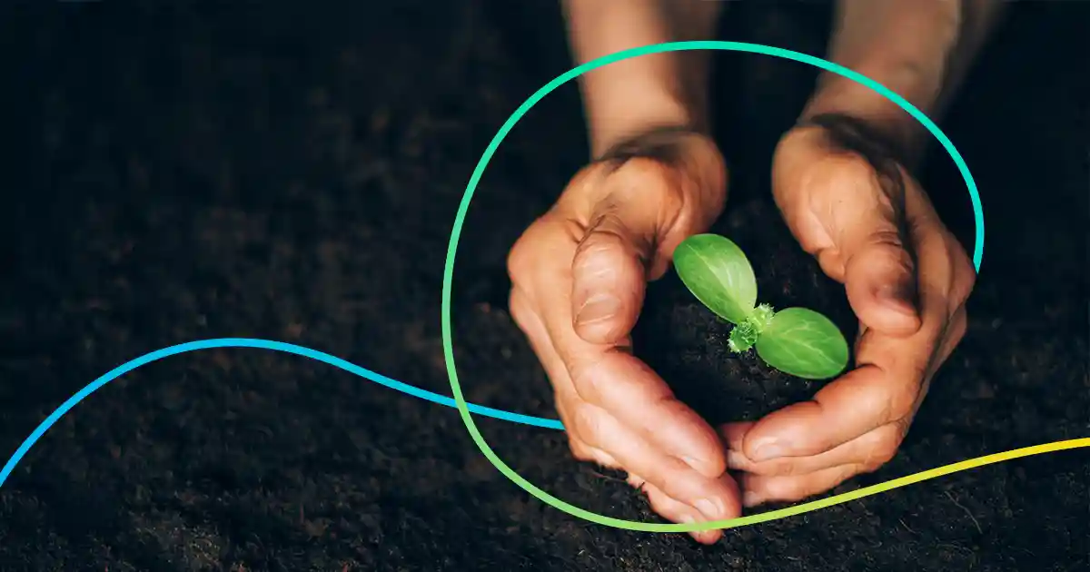 ISO 14001 | Vad är det och hur använder du det? | RISMA